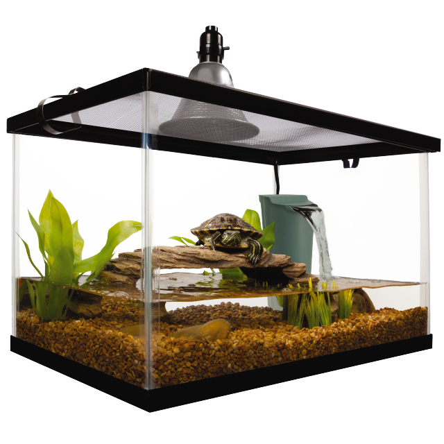 Aquatic Reptile Starter Kit 10 | Tetra® Aquatic Reptile Starter Kit 10 | Tetra®